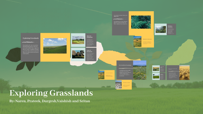 Exploring Grasslands (Original) by PRATEEK RAWAT SOSH on Prezi