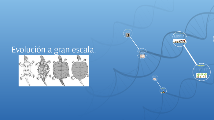 Evolución a gran escala. by gaston tenembam on Prezi
