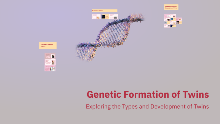 Genetic Formation of Twins by meow meow on Prezi