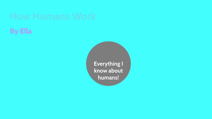 How Humans Work by Ella Kilbane on Prezi