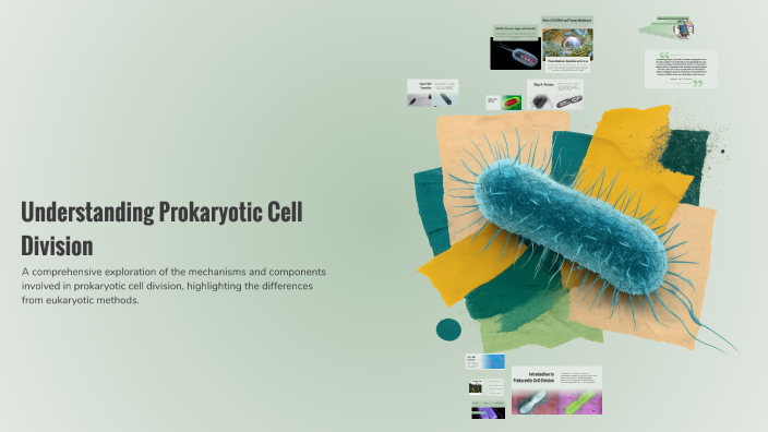 Understanding Prokaryotic Cell Division by Ellyannah Clinton on Prezi