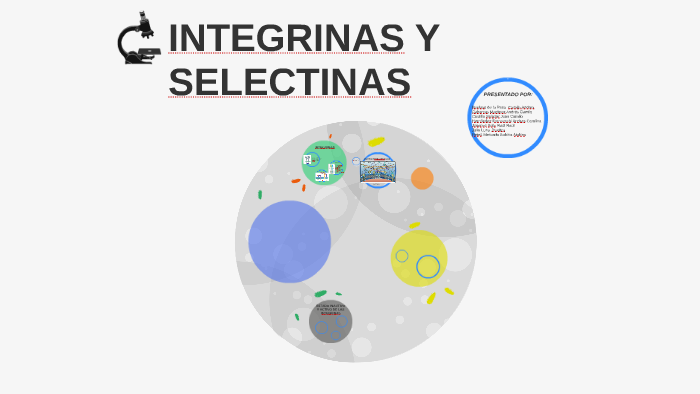 INTEGRINAS Y SELECTINAS by andrea franceschi on Prezi