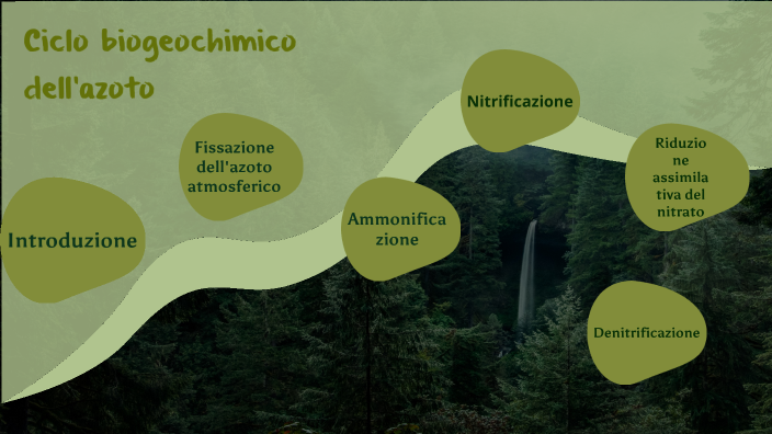 Ciclo biogeochimico dell'azoto by AURORA CATTIDE on Prezi