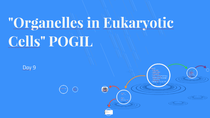 Organelles in Eukaryotic cells POGIL by Marie Surquia on Prezi