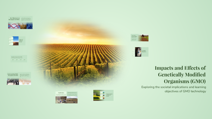 Impacts and Effects of Genetically Modified Organisms (GMO) by Jay-P ...