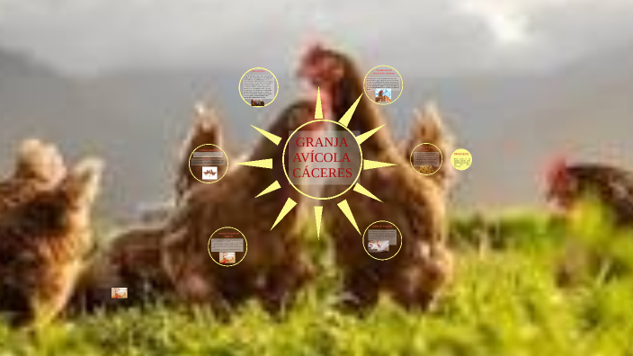 práctica del 28/05/2024 by Danilo ulises Caceres on Prezi