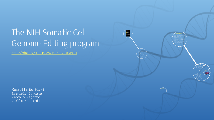 Presentazione 'The NIH Somatic Cell Genome Editing program by maria ...