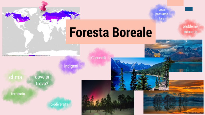 Foresta boreale by vale montesanto on Prezi