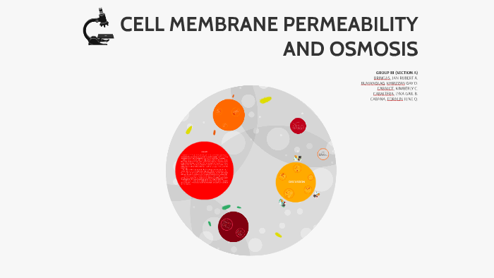 Cell Membrane Permeability and Osmosis by Jan Rubert Bringas on Prezi
