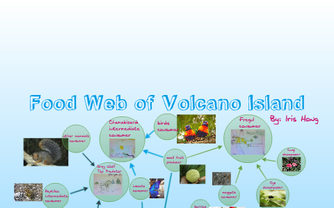 Food Web of Volcano Island Final by Iris Hong on Prezi