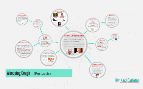 Whooping Cough by Kaci Carleton on Prezi