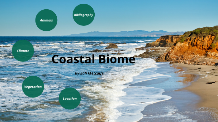 coastal biome by Zali Metcalfe on Prezi