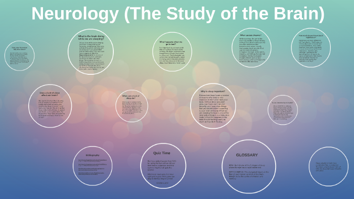 Neurology (The Study of the Brain) by Miss Power on Prezi