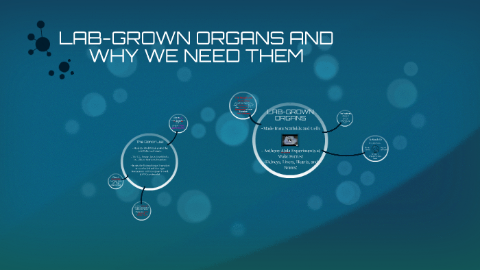 LAB-GROWN ORGANS AND WHY WE NEED THEM by Heather Frankel on Prezi