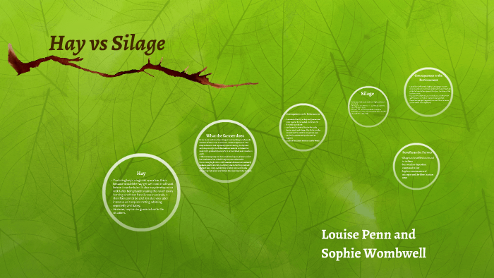 Hay vs Silage by Charlotte Brown on Prezi