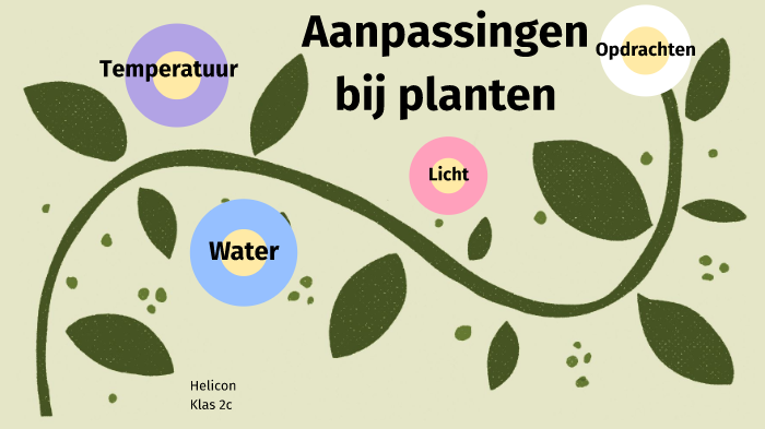 5. Aanpassingen bij planten by Charina de Vries on Prezi