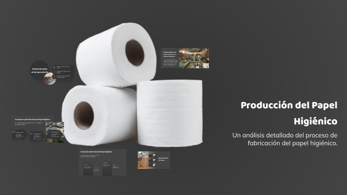 Producción del Papel Higiénico by DAVID LAZARIN MARTINEZ on Prezi