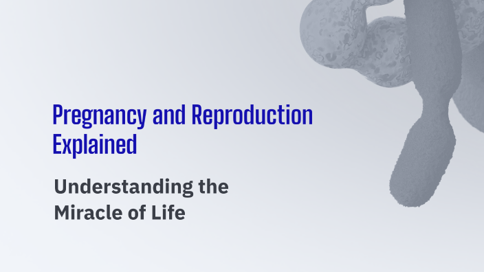 Pregnancy And Reproduction Explained By Rachael Gitau On Prezi