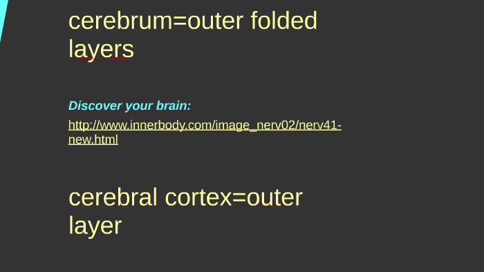 The Human Body by Constance Whitman on Prezi