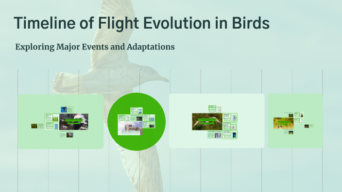 Timeline of Flight Evolution in Birds by Gabrielle Natividad on Prezi