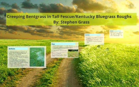 Creeping Bentgrass in Tall Fescue/Kentucky Bluegrass Roughs by Stephen ...
