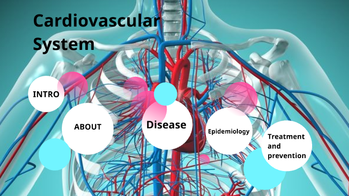 Cardiovascular system by Chelsea rawlins on Prezi