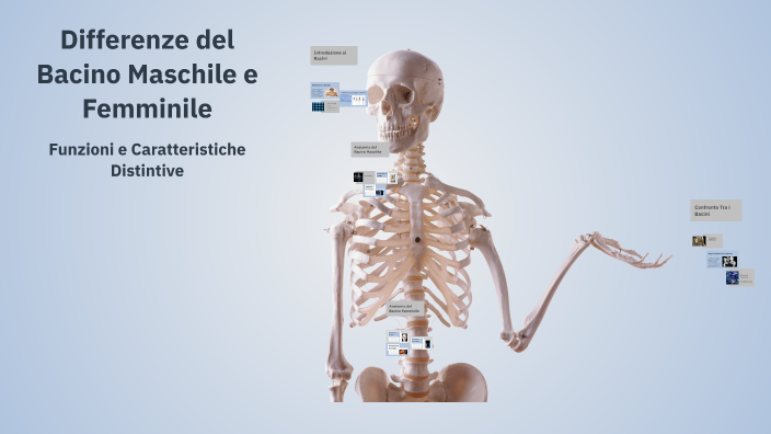 Differenze del Bacino Maschile e Femminile by romaysaa moumares on Prezi