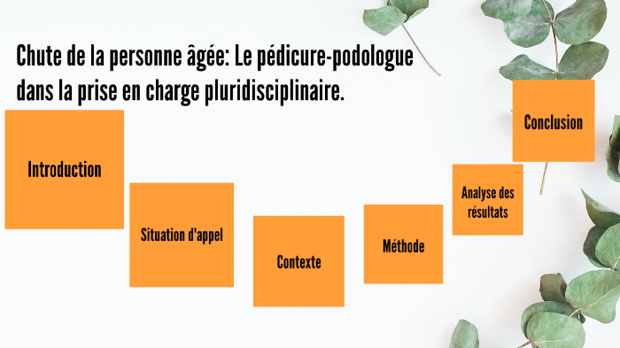 Mémoire by Alice LEMEN-KALINOWSKI on Prezi