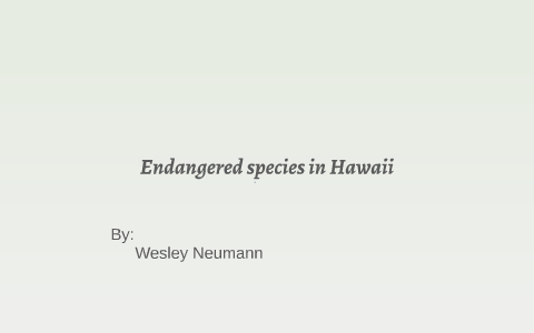 intro by Wesley Neumann on Prezi