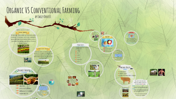 Organic VS Conventional Farming by Emily Doucet on Prezi
