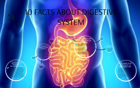 FACTS ABOUT DIGESTIVE SYSTEM by Pia De Guzman on Prezi