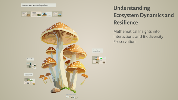 Understanding Ecosystem Dynamics and Resilience by Brayden Mconnell on ...