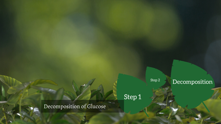 Decomposition of glucose by Zhuoqing Li on Prezi