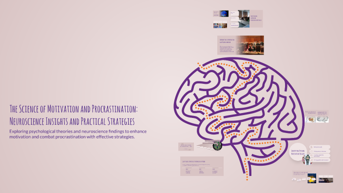 The Science of Motivation and Procrastination: Neuroscience Insights ...