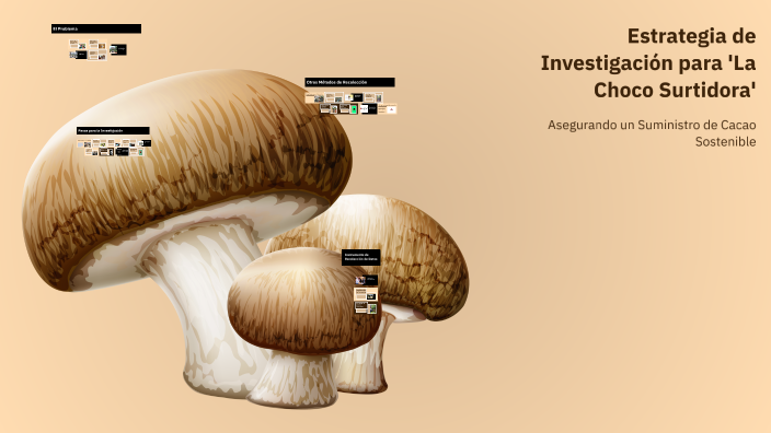 Estrategia de Investigación para 'La Choco Surtidora' by Alberth Murillo on Prezi