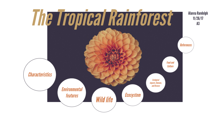 Tropical Rain forest: Bora Bora by Alanna Randolph on Prezi