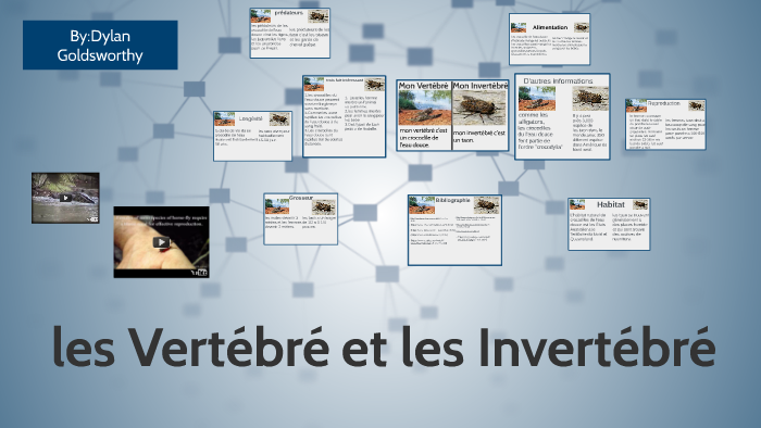 Vertébré et Invertébré by on Prezi