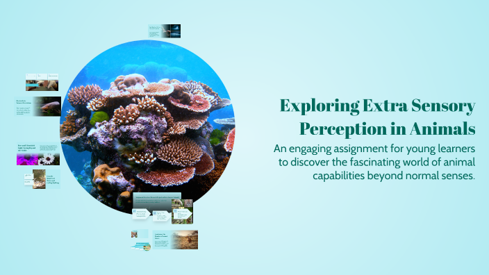 Exploring Extra Sensory Perception in Animals by Kathleen Cruz on Prezi