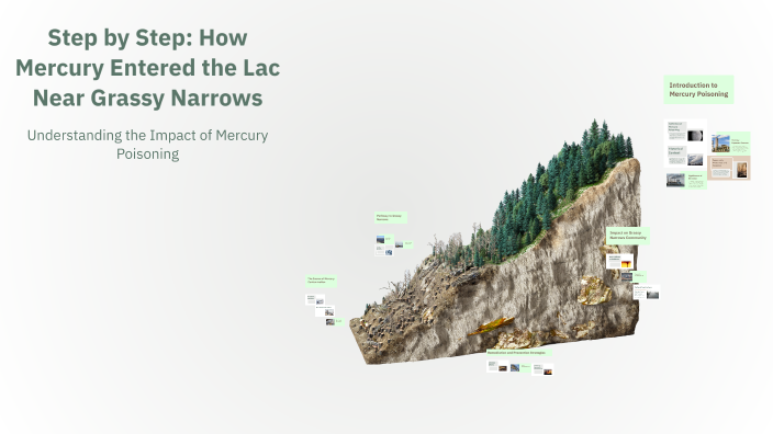 Step by Step: How Mercury Entered the Lac Near Grassy Narrows by Anika ...