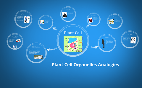 Cell Organelles Analogy Project by Angelina Donatelli