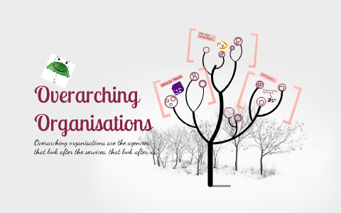 Overarching Organisations - Skills for Health in the SSC and the HPA by ...