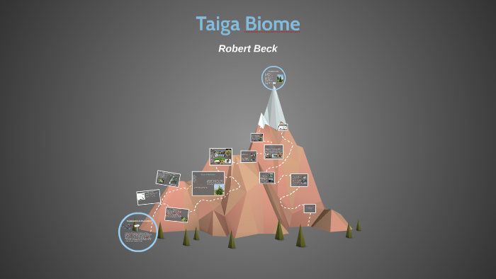 Taiga Biome by Robert Beck on Prezi