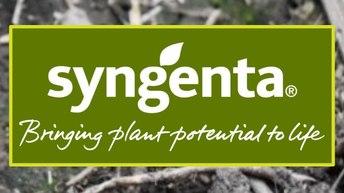 Syngenta Grower Segmentation by Daiton Tietz on Prezi