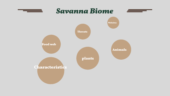 Savanna Biome Project by BELLA WRIGHT on Prezi