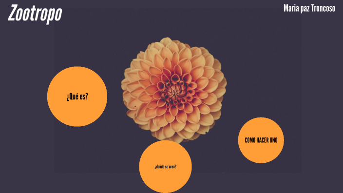 Zootropo by Khytpo Talpa on Prezi