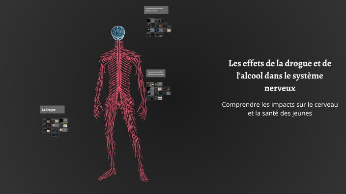 Les effets de la drogue et de l'alcool dans le système nerveux by ...