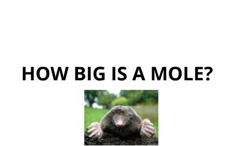 Scientific Moles by Charles Klimpel on Prezi