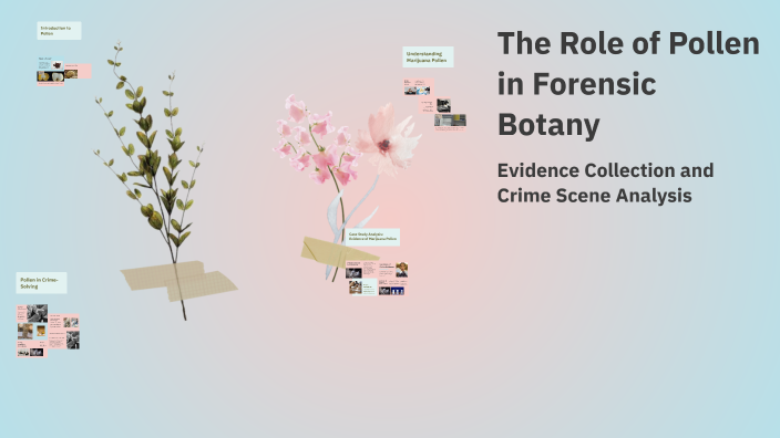 The Role of Pollen in Forensic Botany by Rafael Valsi on Prezi