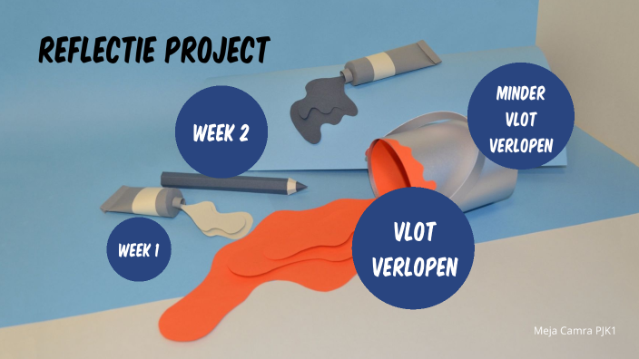Reflectie project by Meja Camara on Prezi