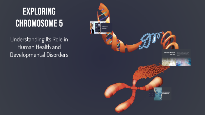 Exploring Chromosome 5 by Sivani Kiran on Prezi